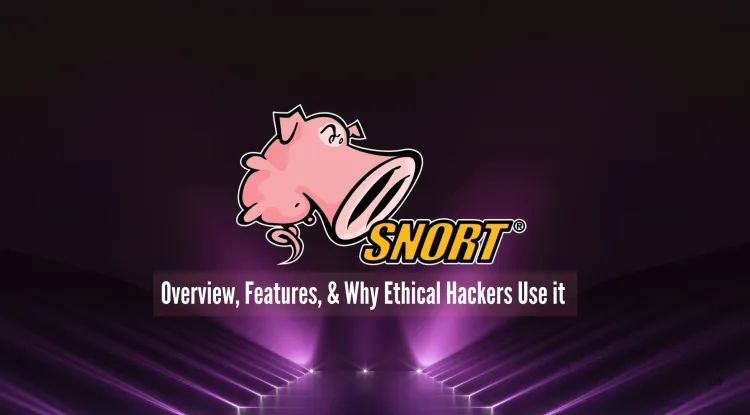 Snort | Overview, Features, and Why Ethical Hackers Use It - Web Asha ...