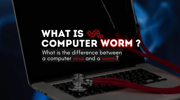 What is a Computer Worm? Difference Between a Computer Virus and a Worm ...