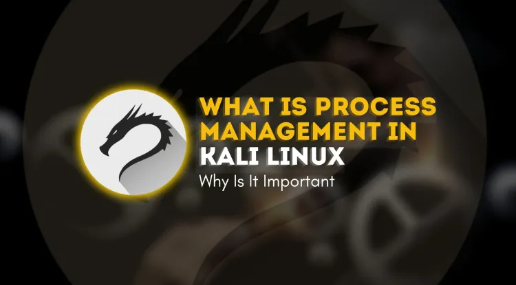 What Is Process Management in Kali Linux and Why Is It Important? - Web Asha Technologies