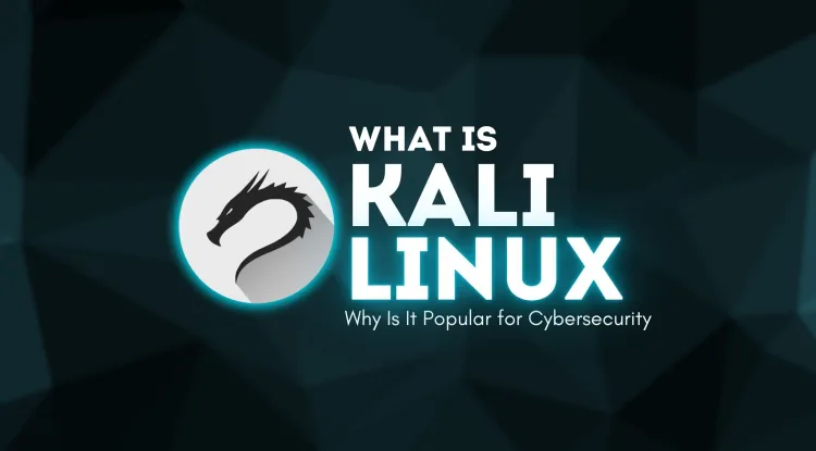 What Is Kali Linux and Why Is It Popular for Cybersecurity? The ...