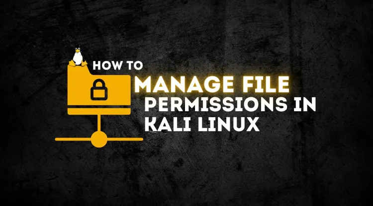 How to Manage File Permissions in Kali Linux? The Complete Guide - Web Asha Technologies