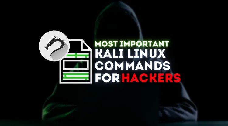 What Are the Most Important Kali Linux Commands for Hackers? - Web Asha ...