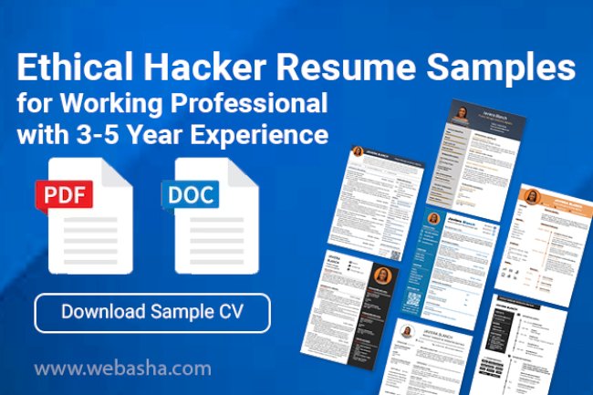 Linux System Administrator Resume Samples for Fresher | Download Sample ...